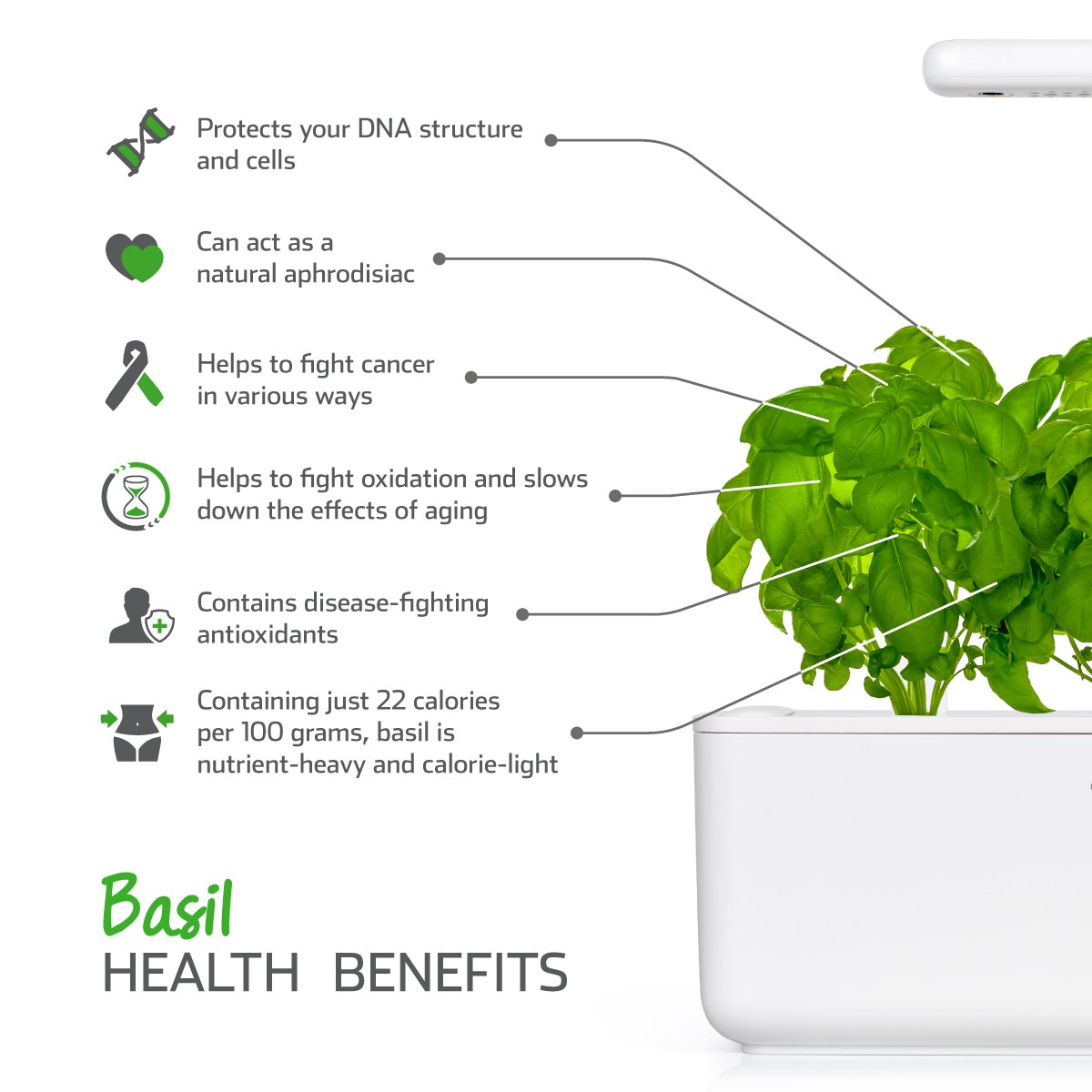 Basil Plant Pods for Click & Grow Indoor Herb Gardens – Click & Grow UK